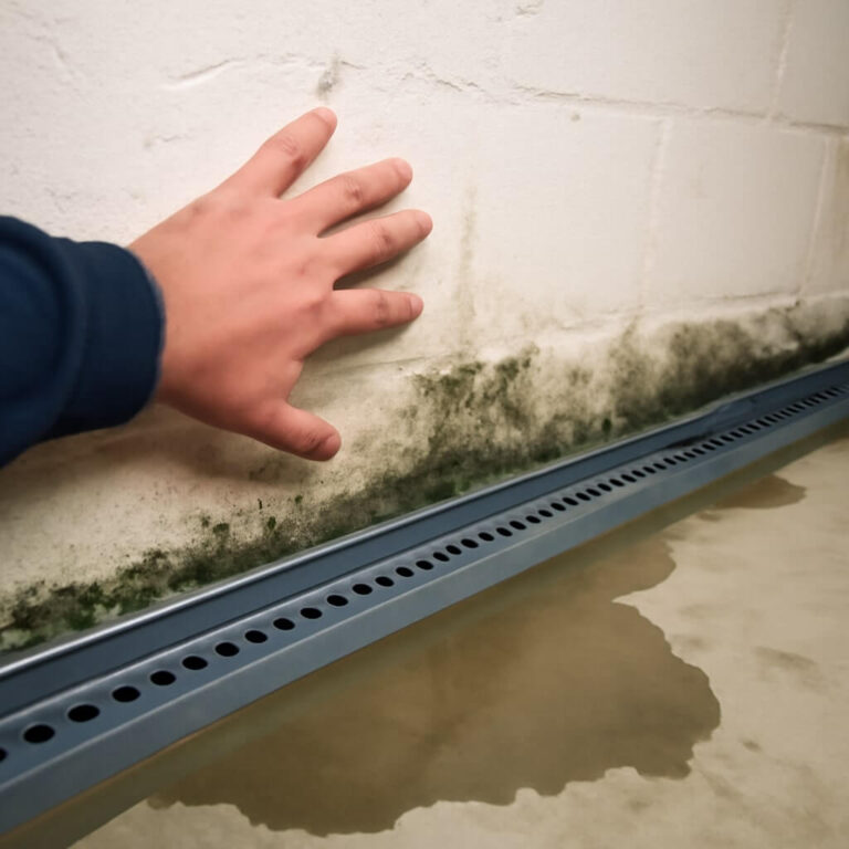 Does Homeowners Insurance Cover Basement Waterproofing?